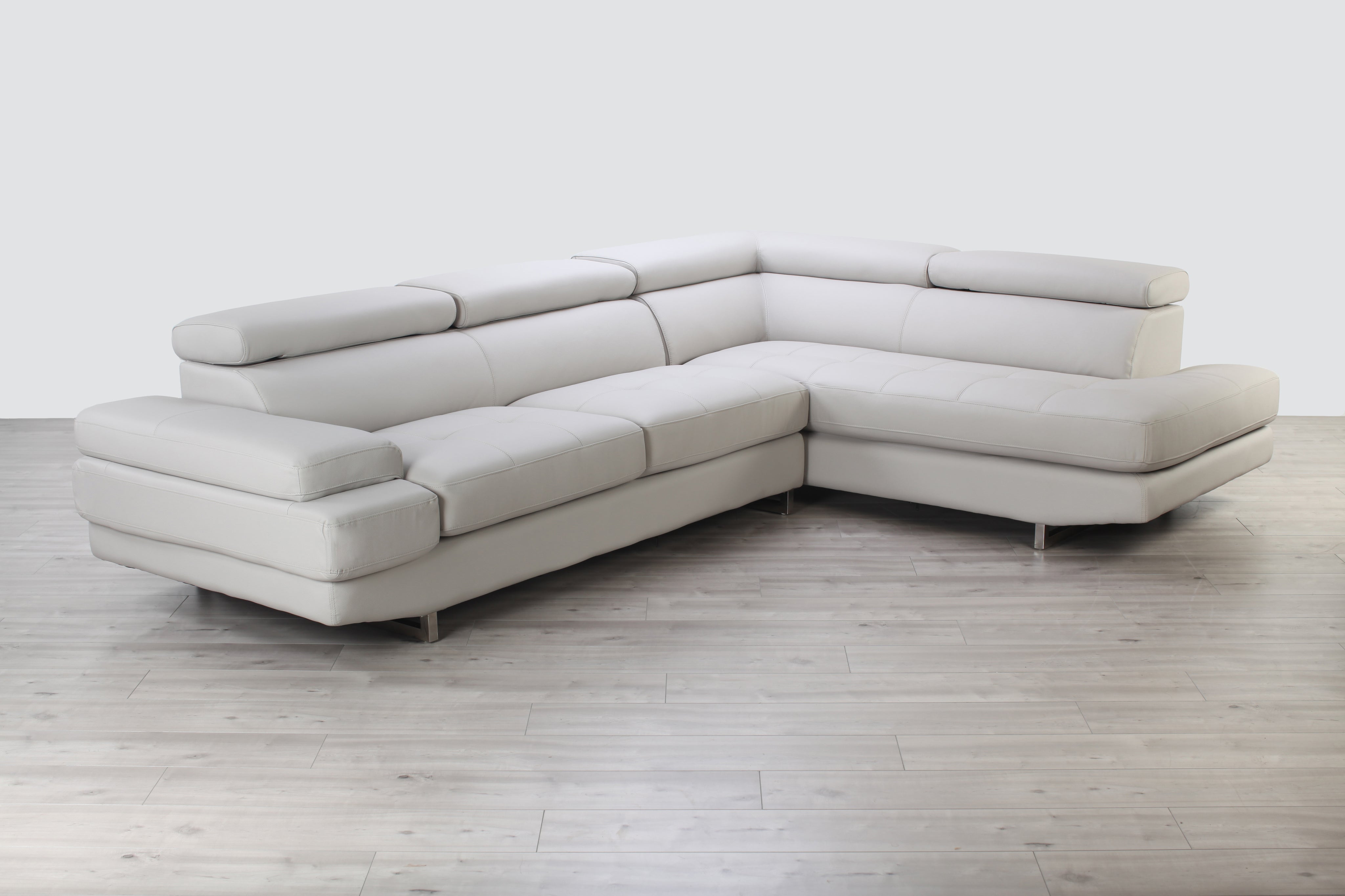 Jenny Modern Leather Sectional – Modern Concept